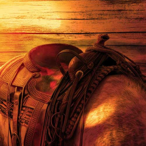 Branding Irons For Livestock – Branding Irons Unlimited